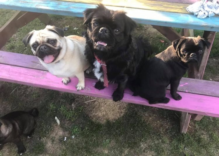 Sunday Woman Magazine | Sunday Woman Magazine